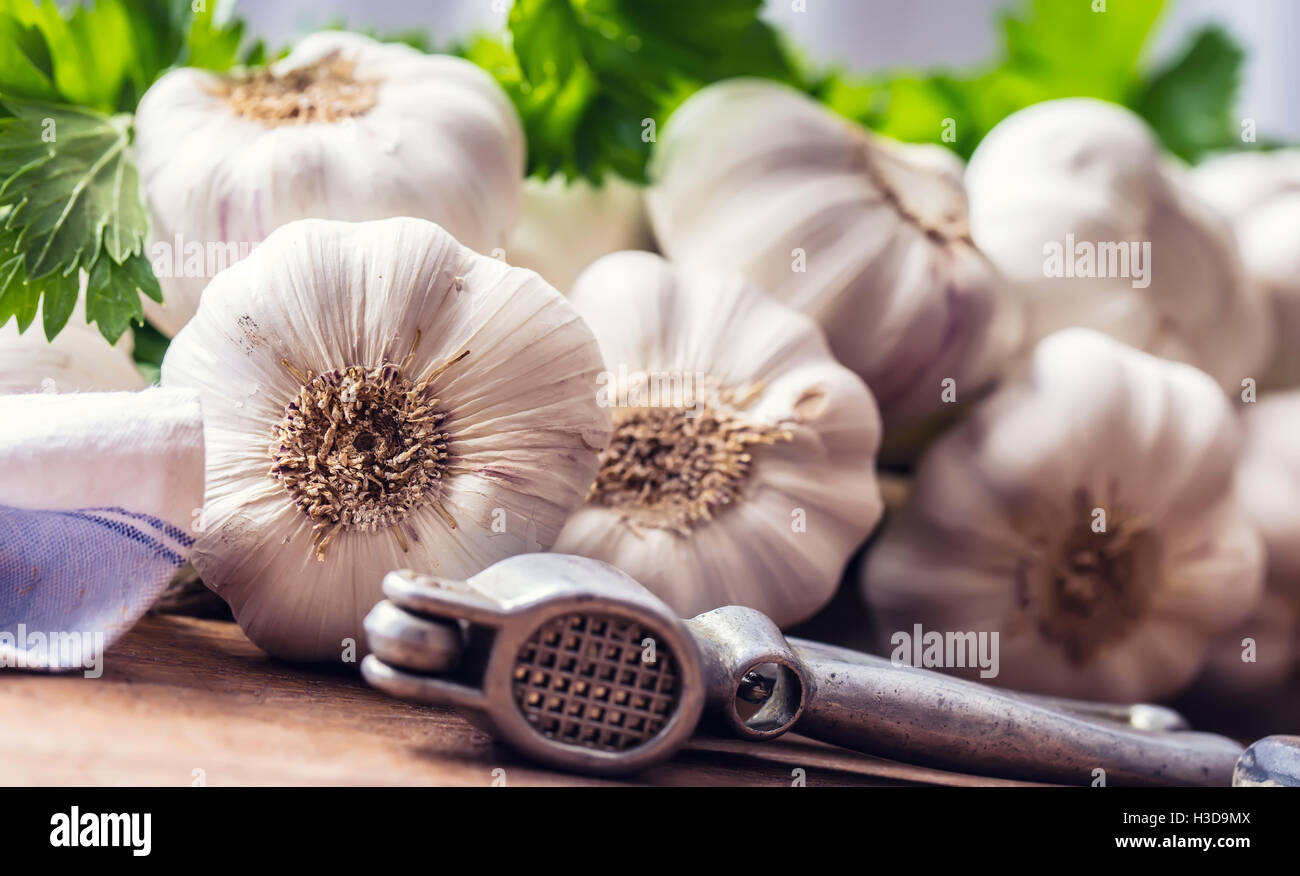 Garlic. Bunch of fresh garlic with celery herbs Stock Photo - Alamy