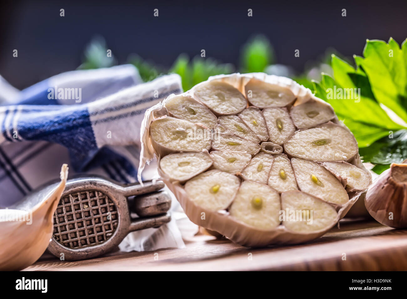 Garlic. Bunch of fresh garlic with celery herbs Stock Photo - Alamy