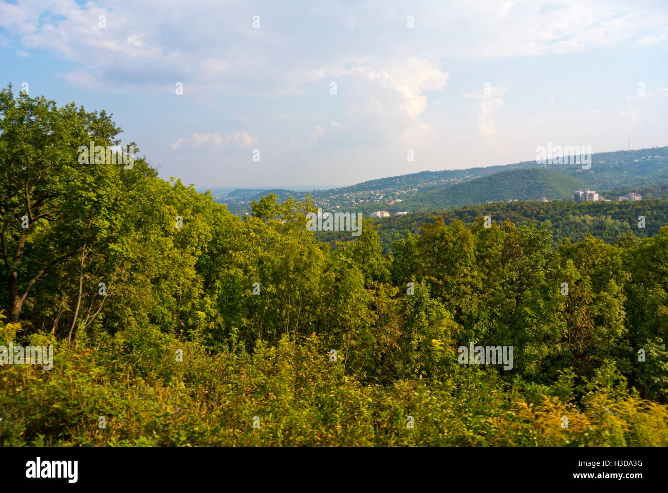 Buda hills, near Szépjuhászné station, Buda, Budapest, Hungary Stock ...