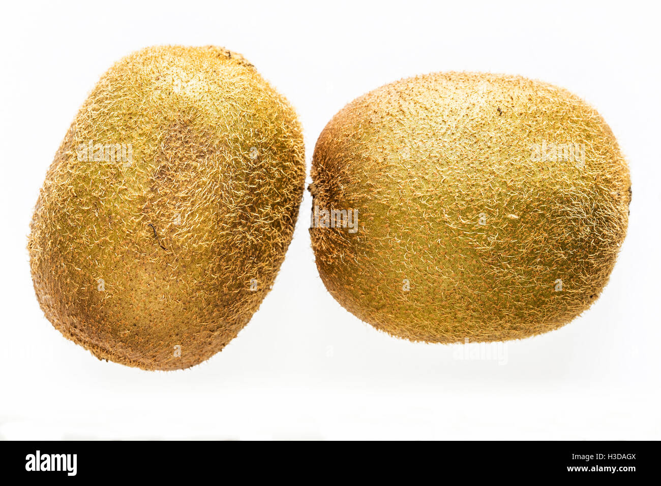 Elevated view of two kiwis isolated on white background Stock Photo - Alamy