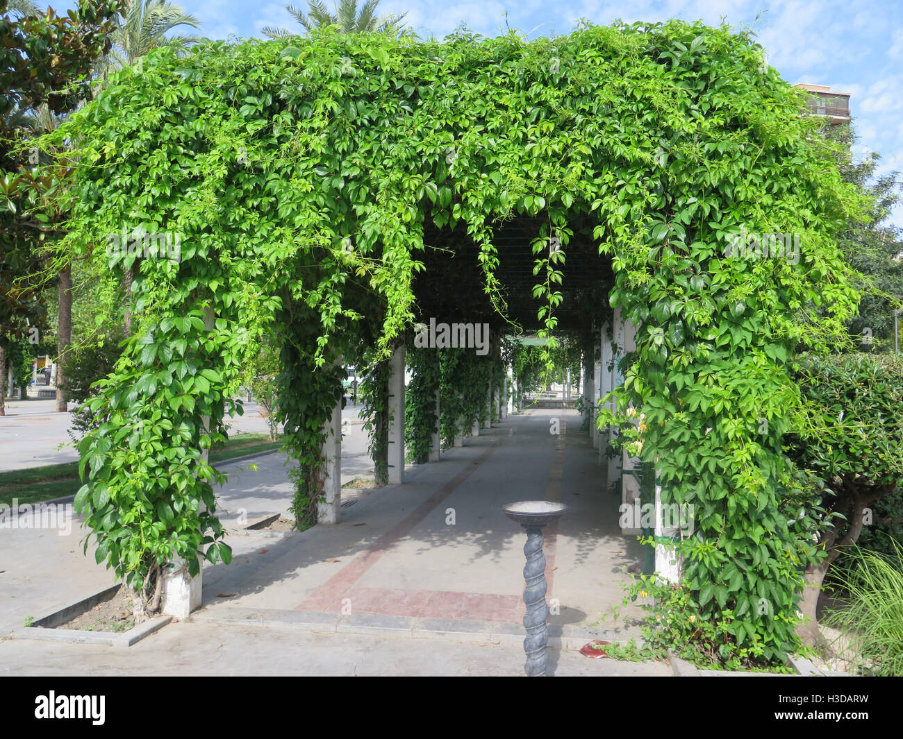 Overgrown concrete pavilion in Square in Jaen, Spain Stock Photo - Alamy