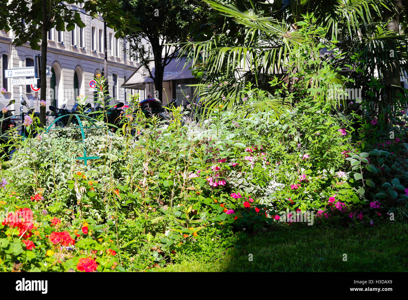 Visiter Paris High Resolution Stock Photography and Images - Alamy