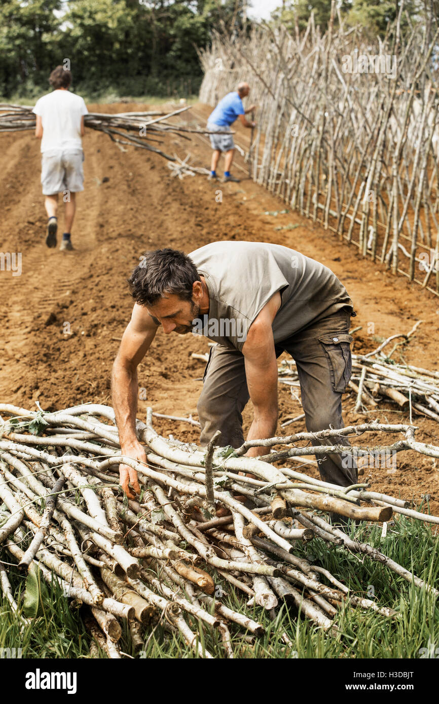 Beanpole family hi-res stock photography and images - Alamy