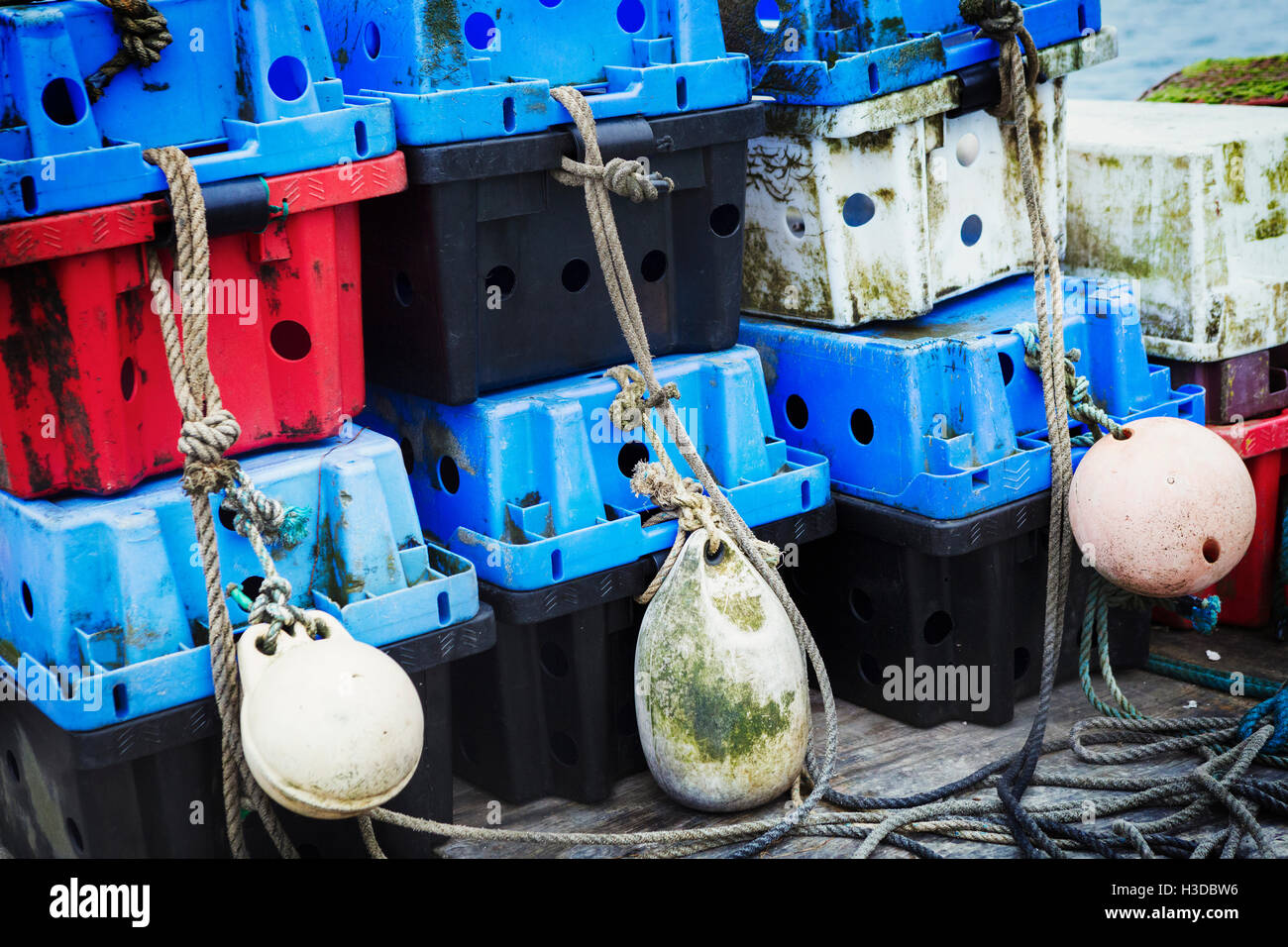 Plastic fish hi-res stock photography and images - Alamy