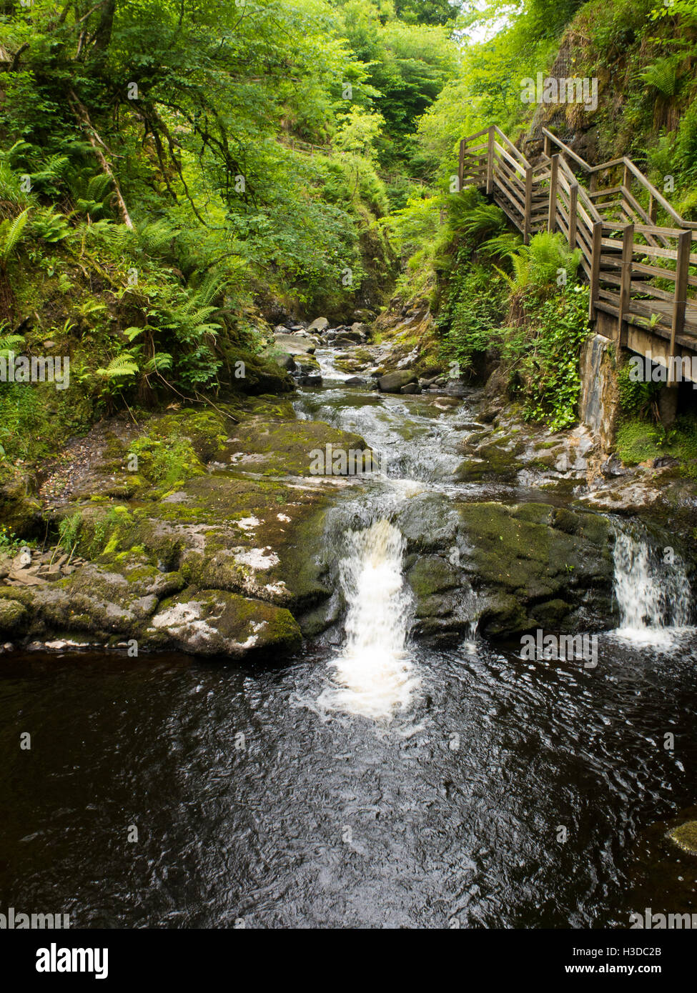 Waterfall in Glenariff forest park Northern Ireland Stock Photo - Alamy