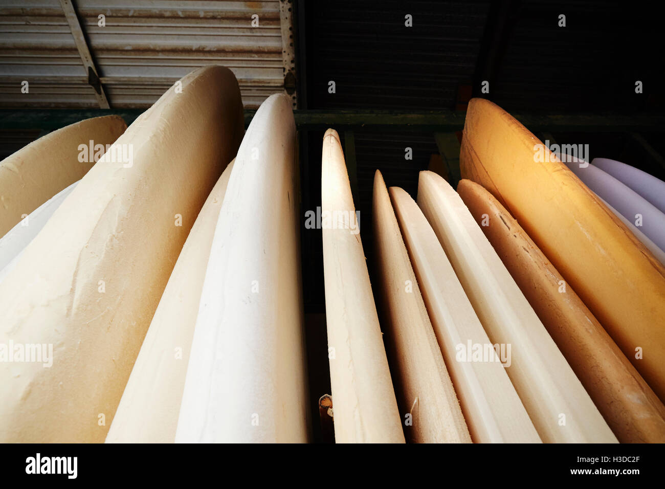 Close up of surfboards in store Stock Photo - Alamy