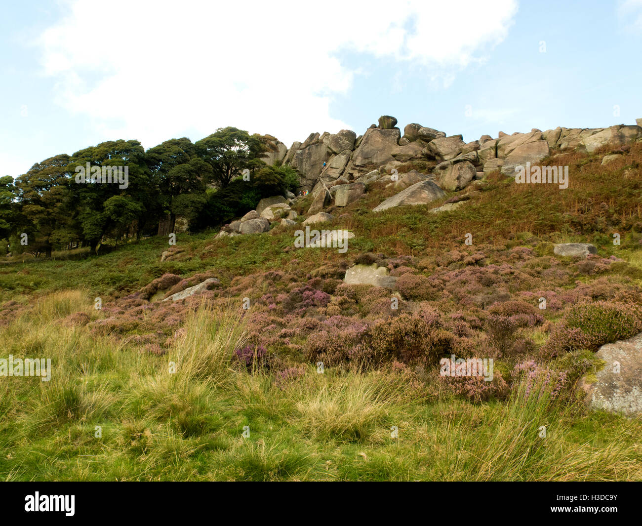 The Roaches Derbyshire Stock Photo - Alamy