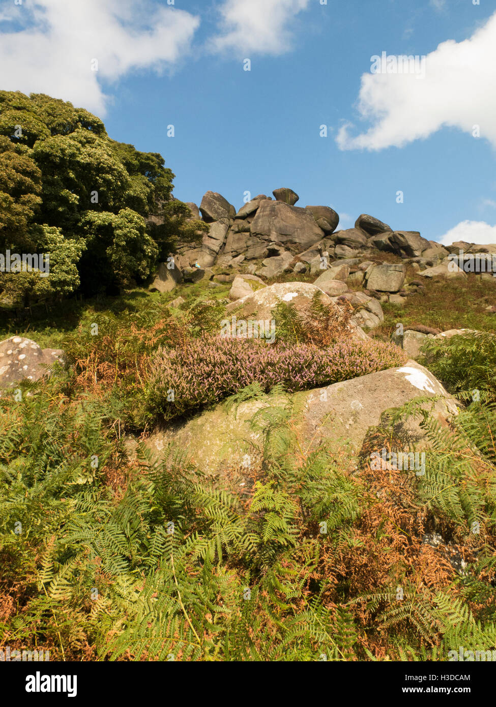 The Roaches Derbyshire Stock Photo - Alamy