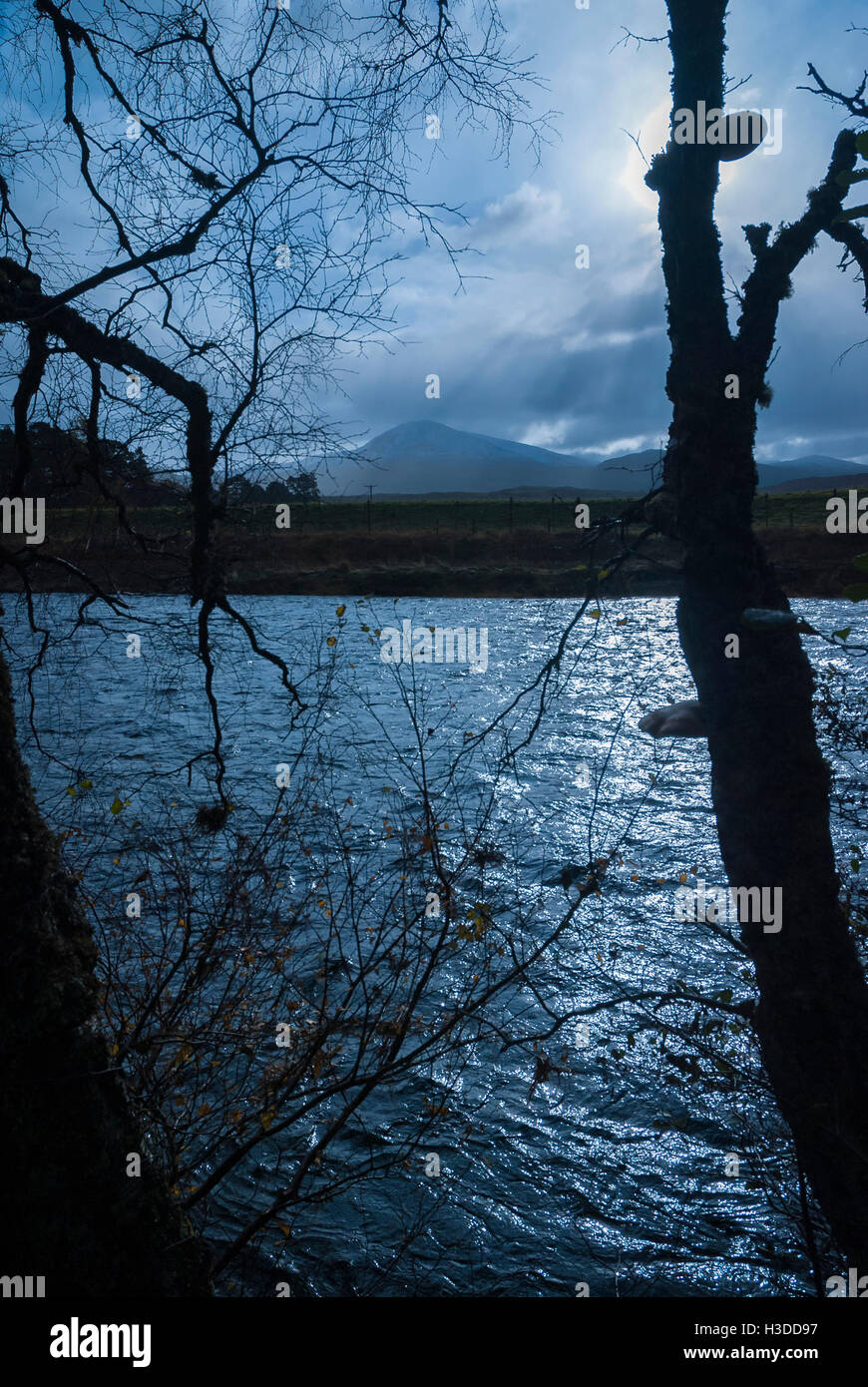 A Blue portrait image of a mountain through the trees and over the ...