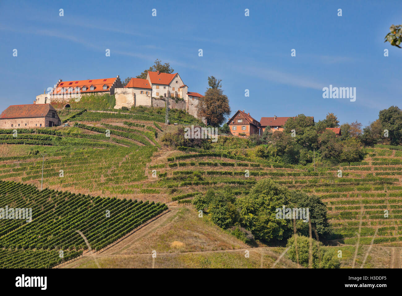 Vineyards,Apple orchards near Markgraf von Baden Schloss,Castle in ...