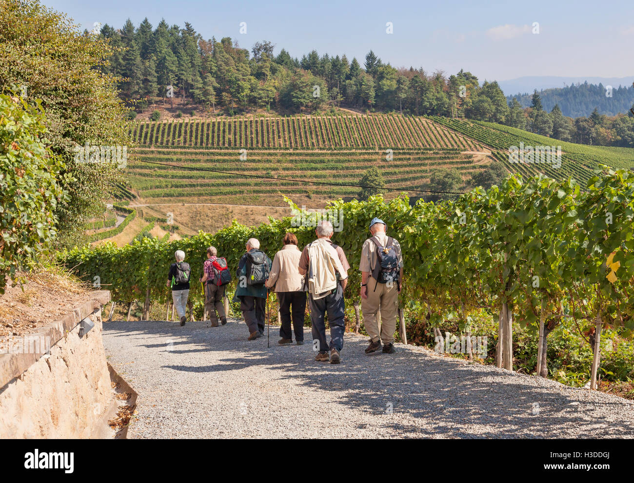 Markgraf hi-res stock photography and images - Alamy