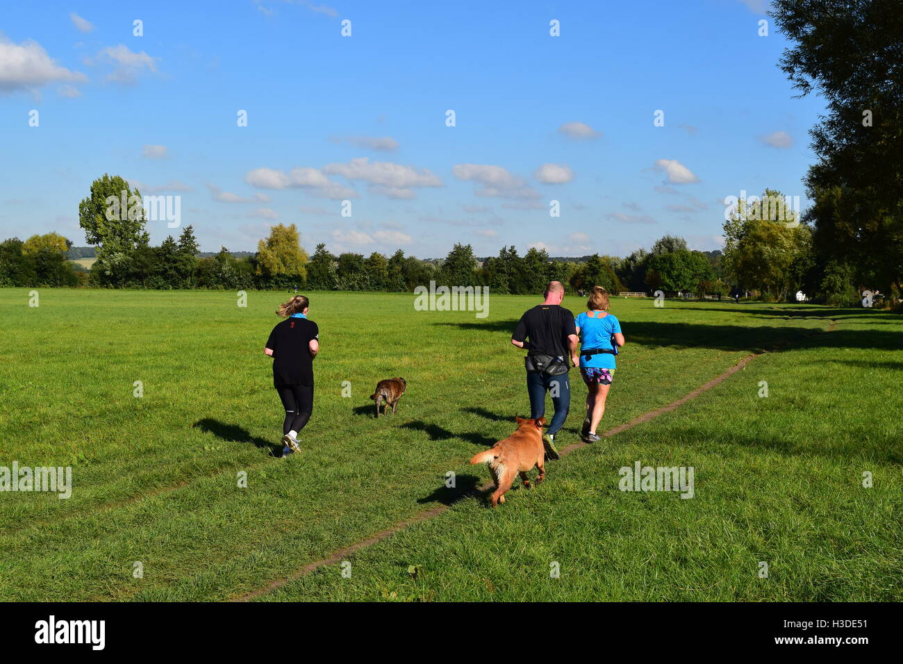 Group running hi-res stock photography and images - Alamy