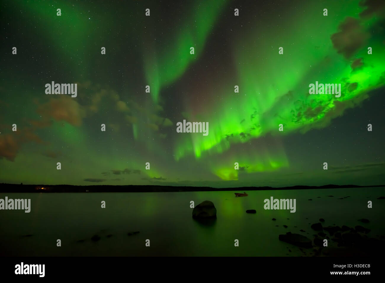 Curtains of Light - Northern Lights drop down from starry autumn night ...