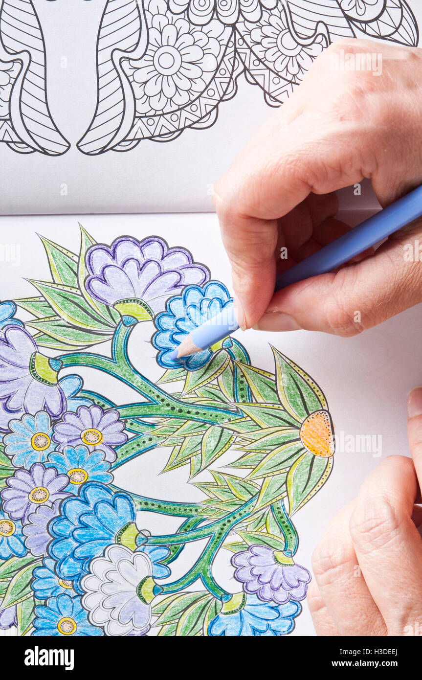 close up hand coloring an adult book Stock Photo - Alamy
