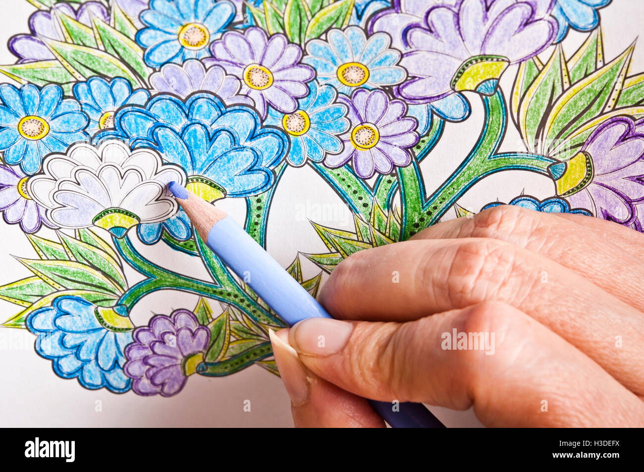 Hand coloring hi-res stock photography and images - Alamy