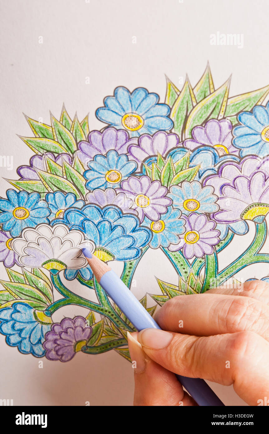 close up hand coloring an adult book Stock Photo - Alamy