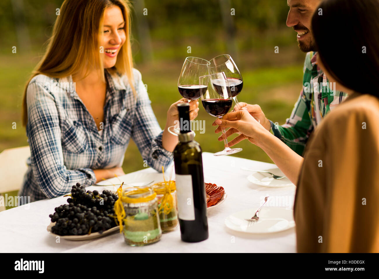 Young people enjoy dinner and wine tasting in the vineyard Stock Photo ...