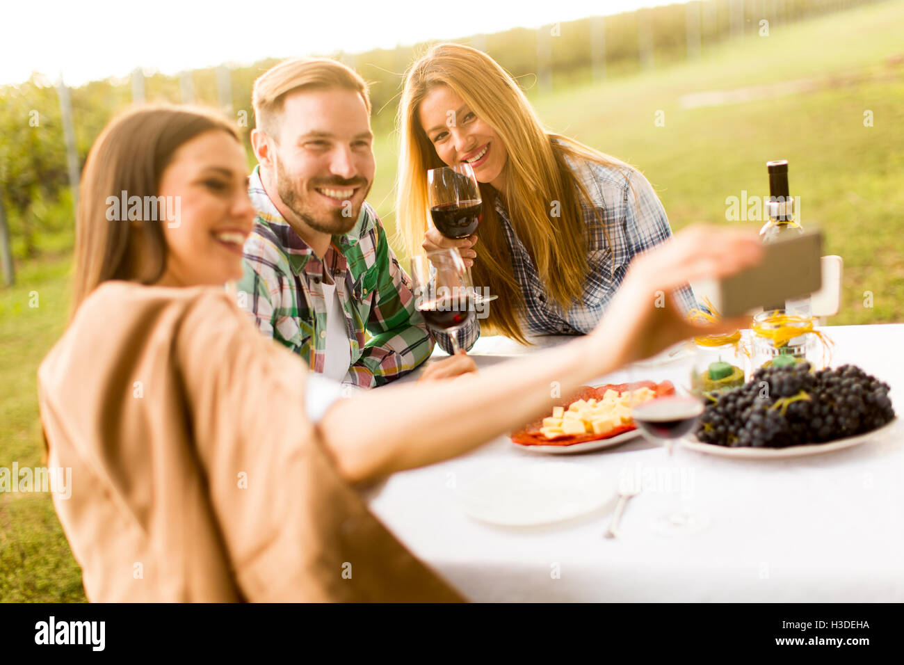Young people enjoy dinner and wine tasting in the vineyard Stock Photo ...