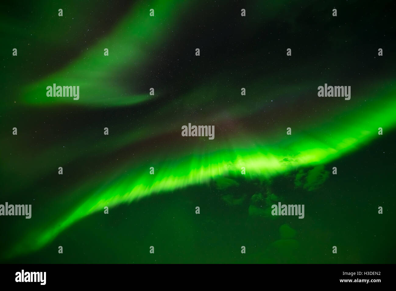 Beaming Down - Layers of bright and colorful aurora borealis beaming ...