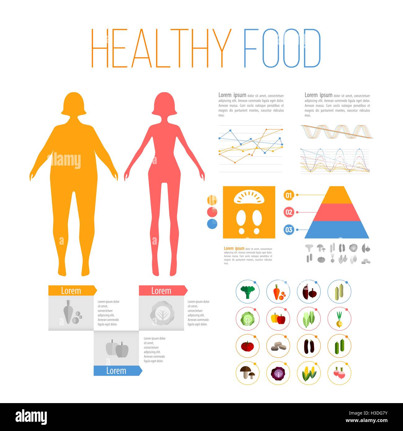 Thick slim body set icon info graphic Stock Vector Image & Art - Alamy