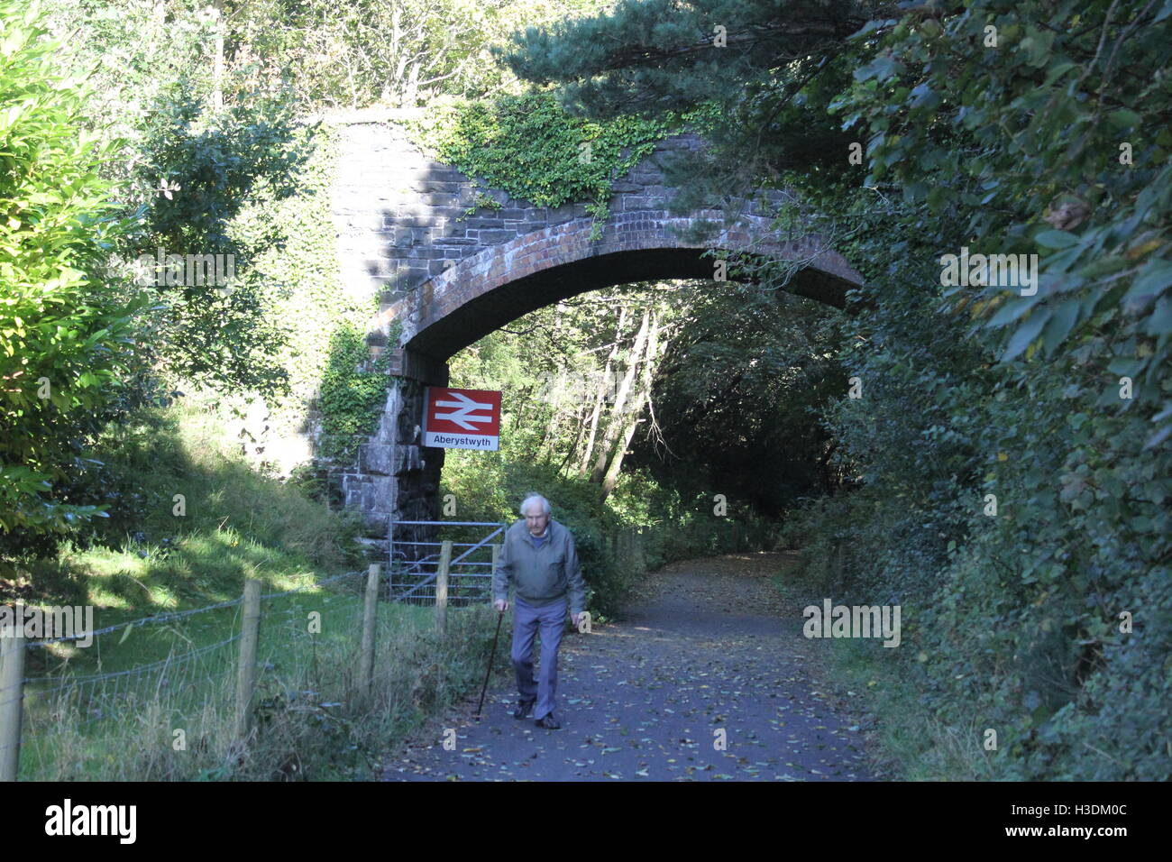 Aberystwyth, Wales, UK. 5th October, 2016. Autumn fall & a glorious ...