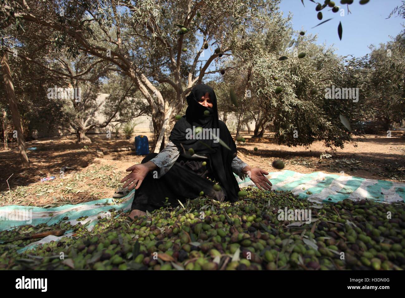 Bureij, Gaza Strip, Palestinian Territory. 6th Oct, 2016. A Palestinian ...