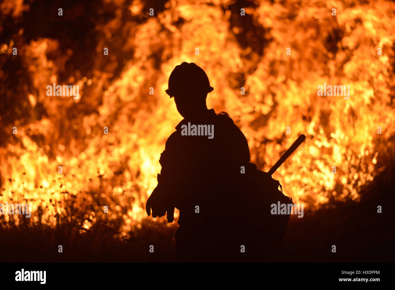June 23, 2016 - Campo, CA, USA - The Border Fire burns near Campo and ...