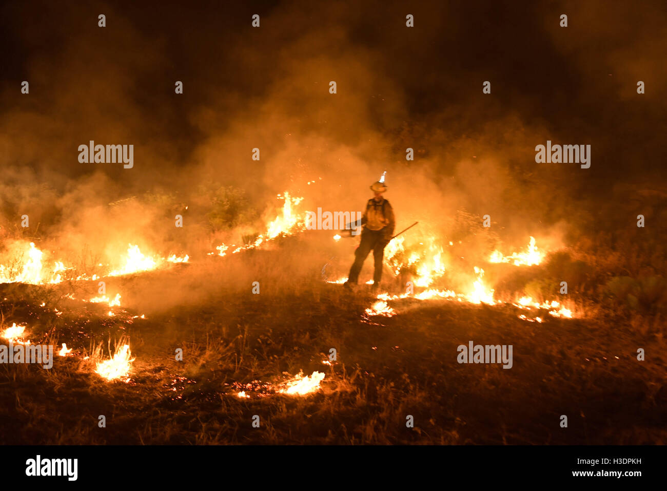 Campo, CA, USA. 23rd June, 2016. The Border Fire burns near Campo and ...