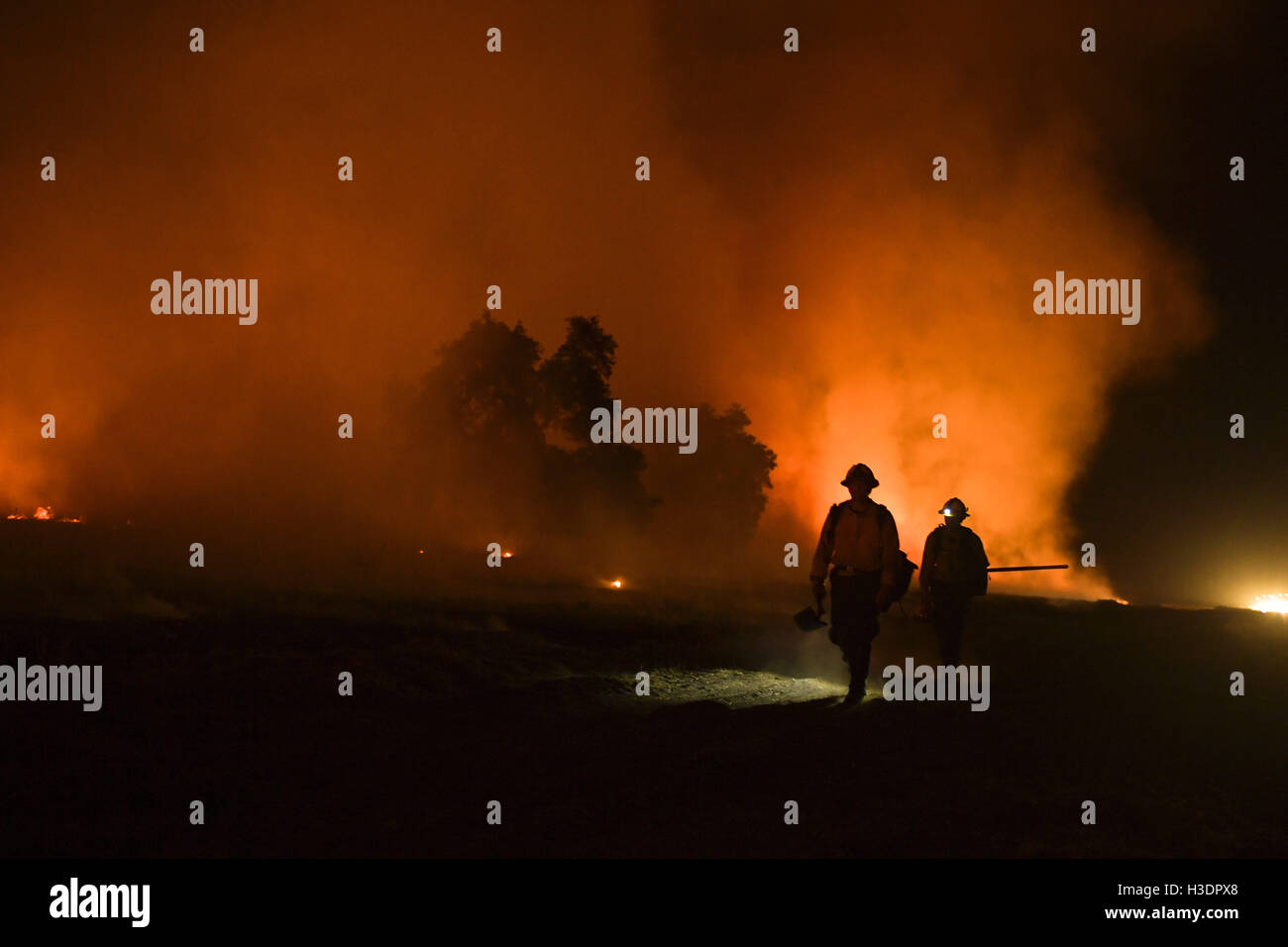 Campo, CA, USA. 23rd June, 2016. The Border Fire burns near Campo and ...