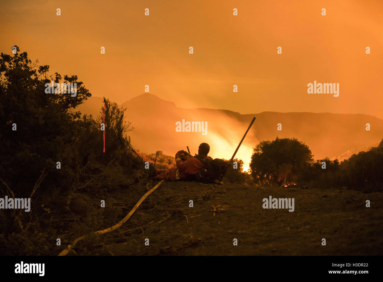 Campo, CA, USA. 6th Oct, 2016. The Border Fire burns near Campo and ...