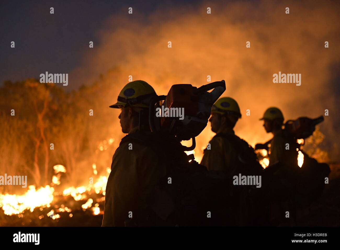 Campo, CA, USA. 23rd June, 2016. The Border Fire burns near Campo and ...