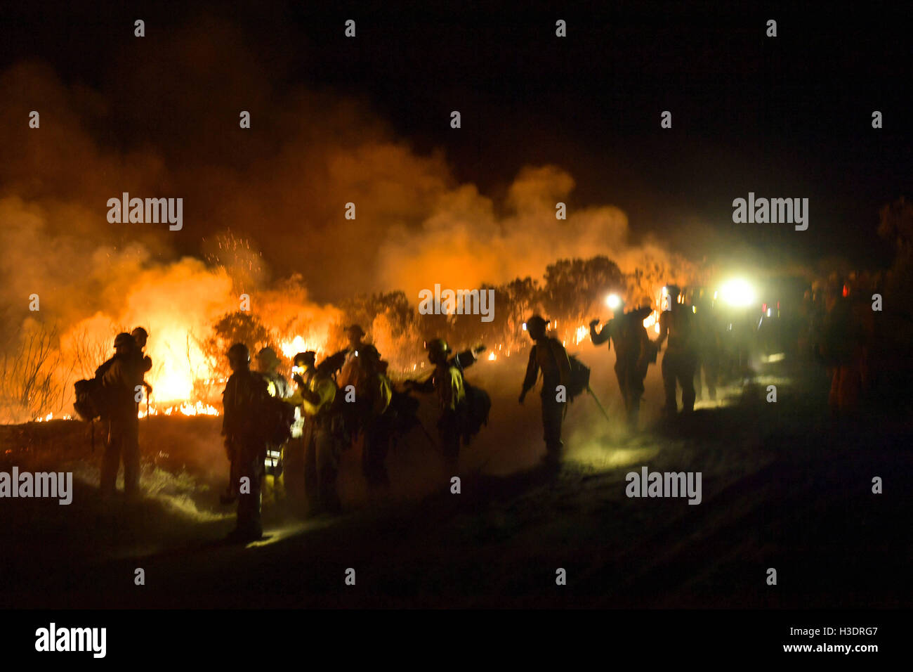 Campo, CA, USA. 23rd June, 2016. The Border Fire burns near Campo and ...