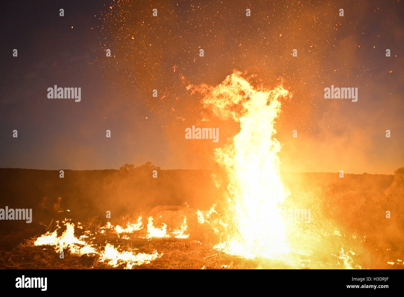 June 23, 2016 - Campo, CA, USA - The Border Fire burns near Campo and ...