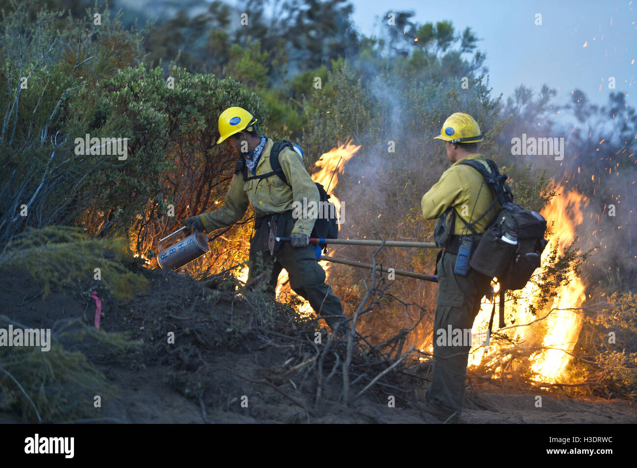 Portrero hi-res stock photography and images - Alamy