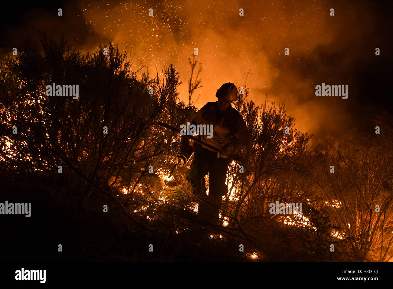 Campo, CA, USA. 23rd June, 2016. The Border Fire burns near Campo and ...