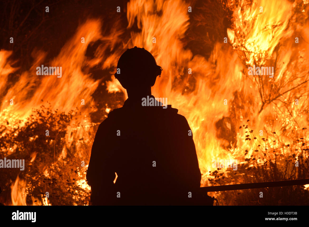 Portrero hi-res stock photography and images - Alamy