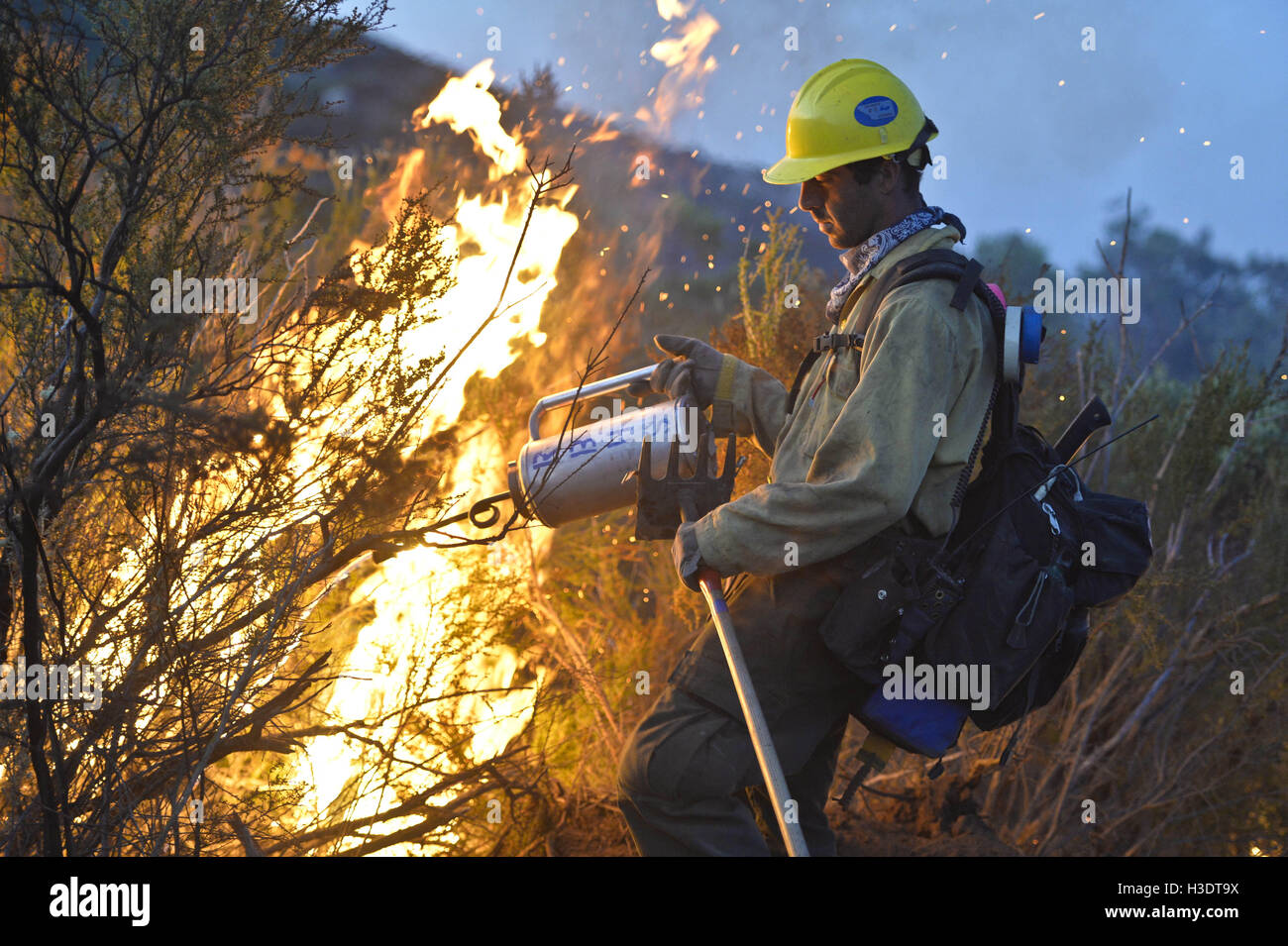 Campo, CA, USA. 23rd June, 2016. The Border Fire burns near Campo and ...
