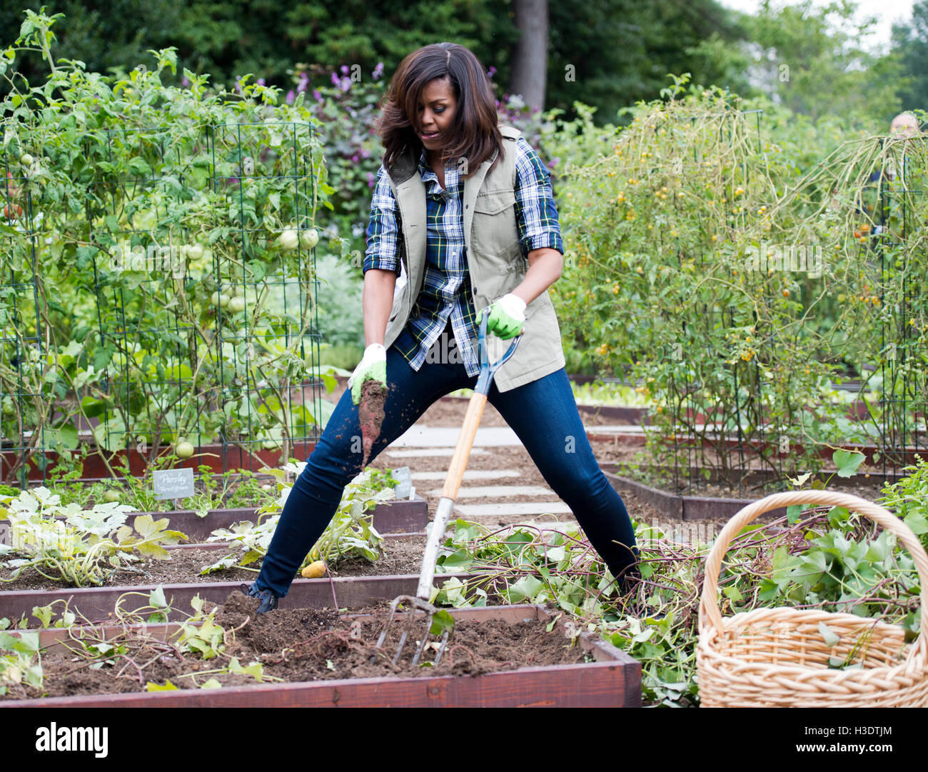 Michelle obama garden hi-res stock photography and images - Alamy