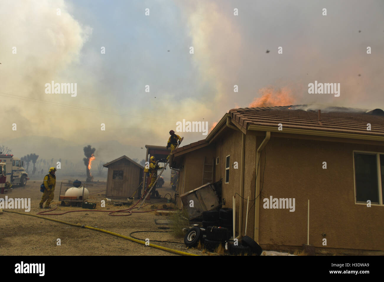 Phelan, CA, USA. 17th Aug, 2016. The Blue Cut Fire burns for the second ...