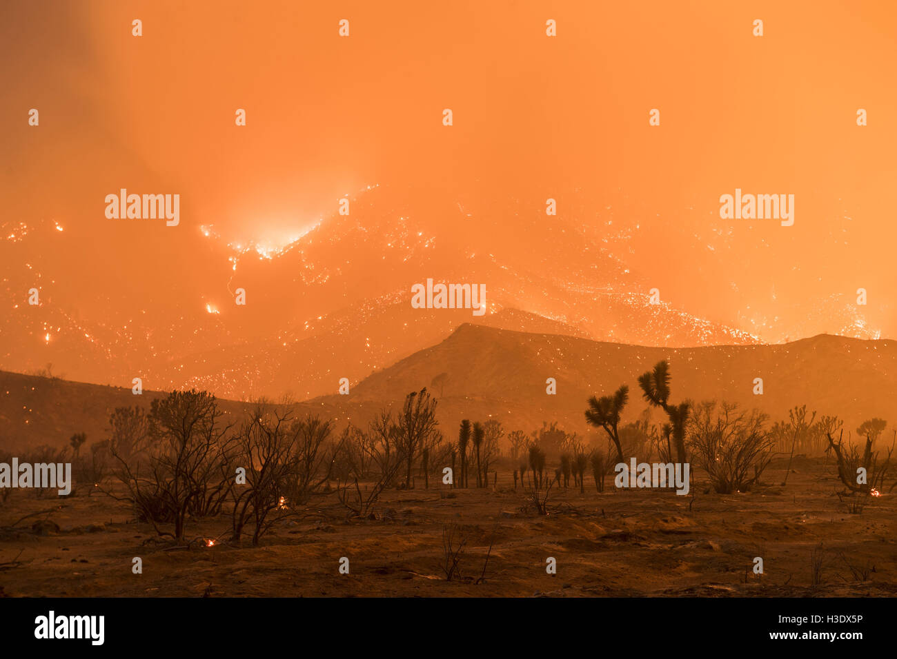 Fire 36 jpg hi-res stock photography and images - Alamy