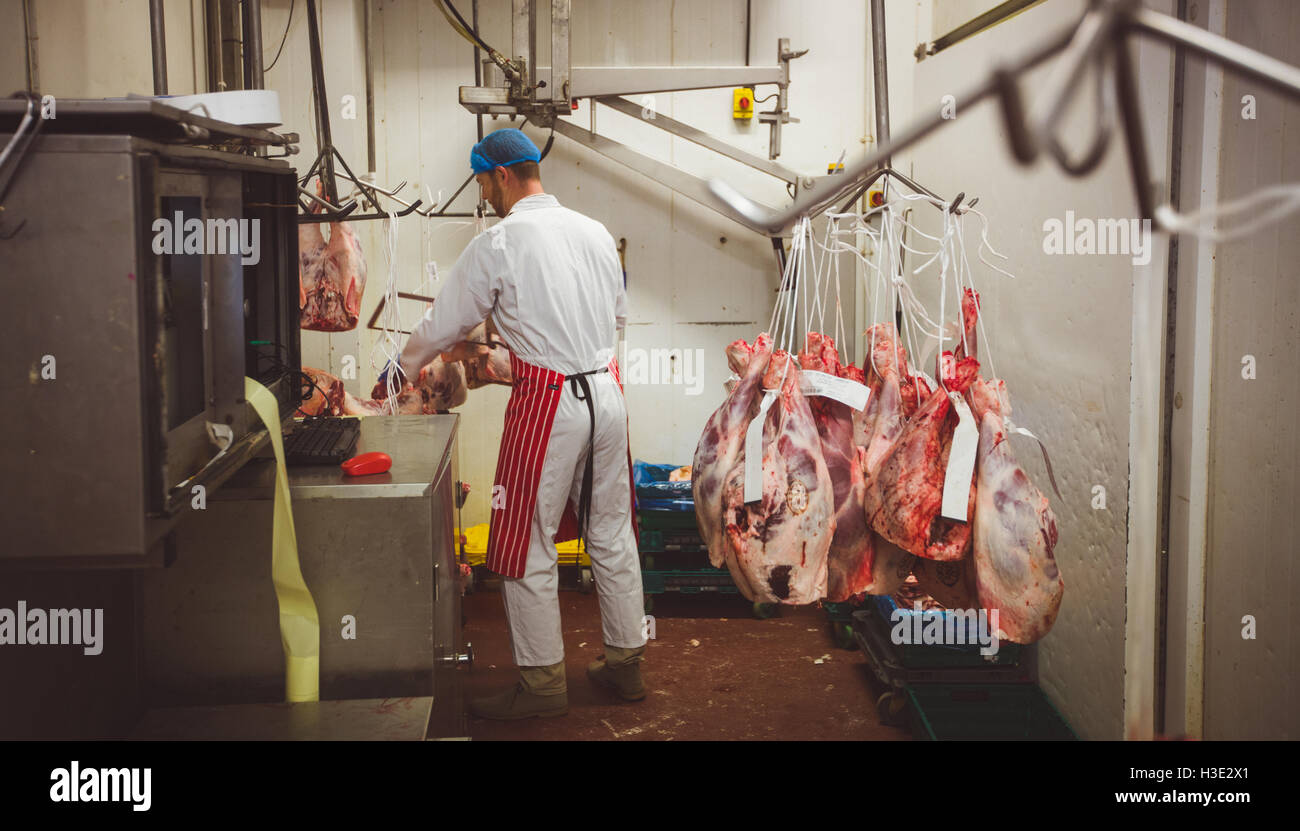 Meat in cold room in hi-res stock photography and images - Alamy