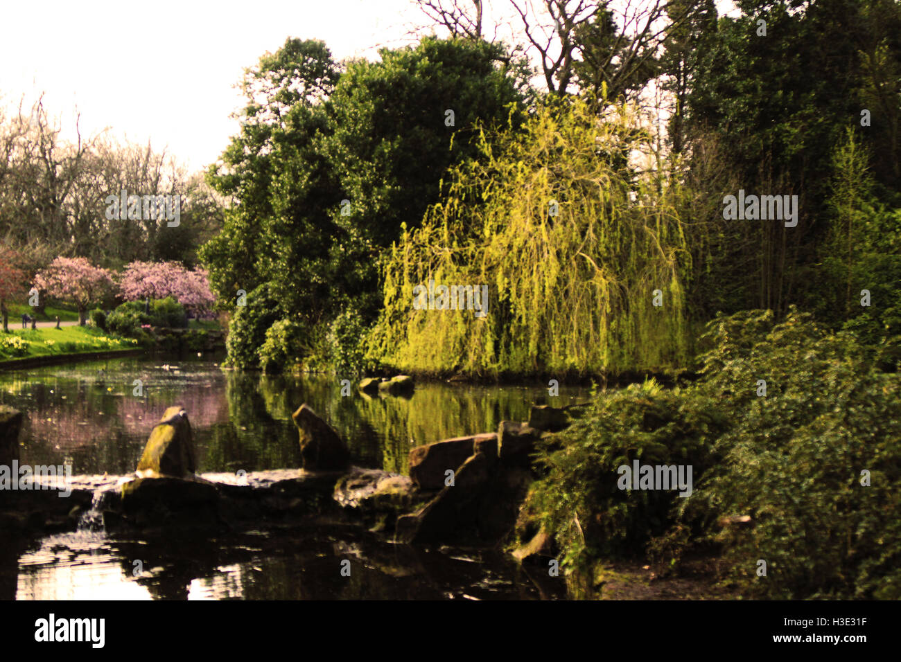 A picture taken in Sefton Park in Liverpool Stock Photo - Alamy