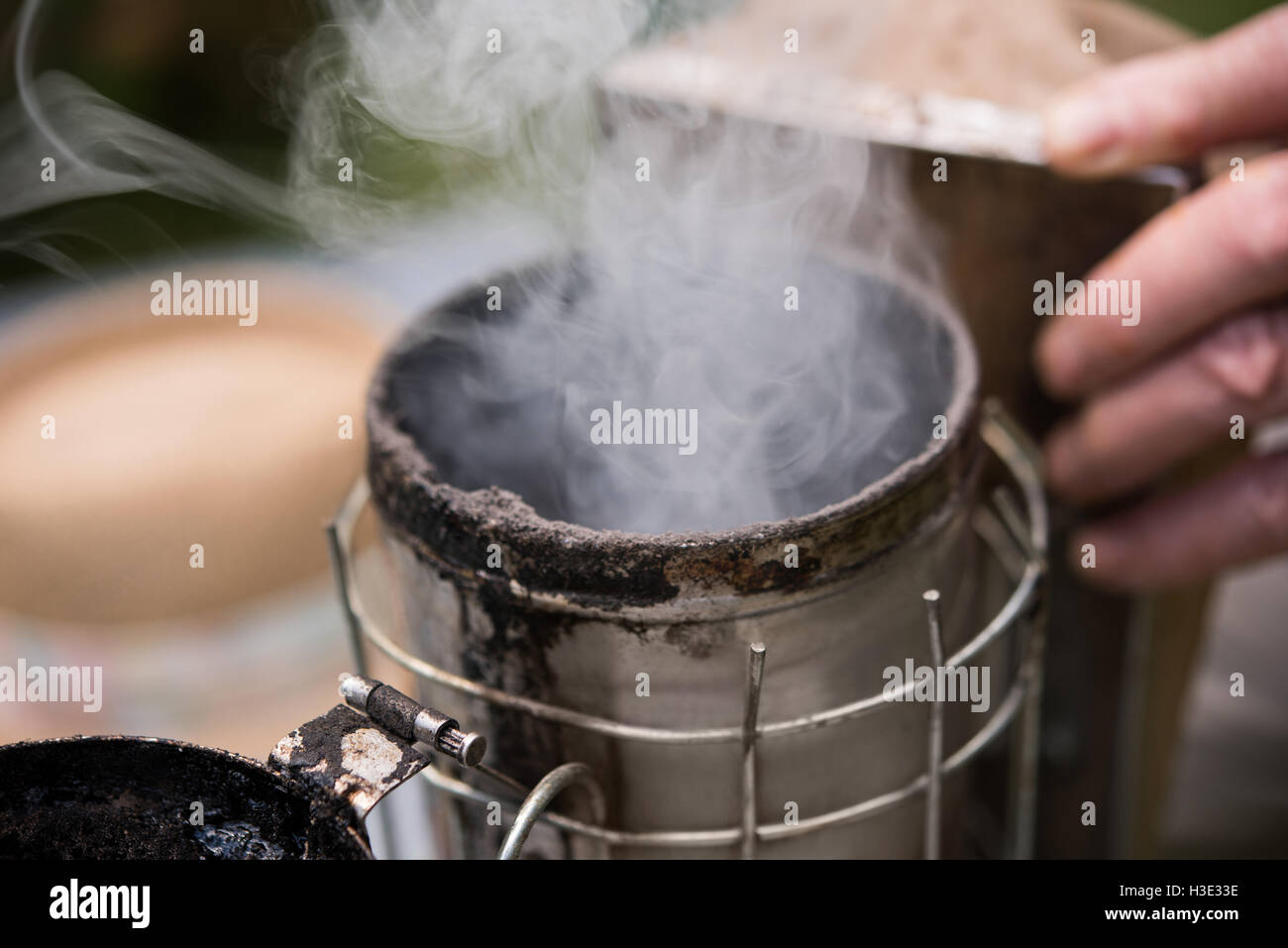 Beekeepers smoking the bees away from hive Stock Photo - Alamy