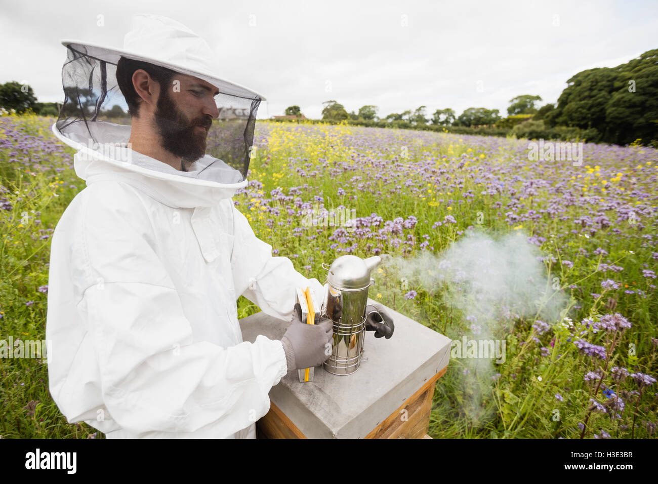 Beekeeper using bee smoker Stock Photo - Alamy