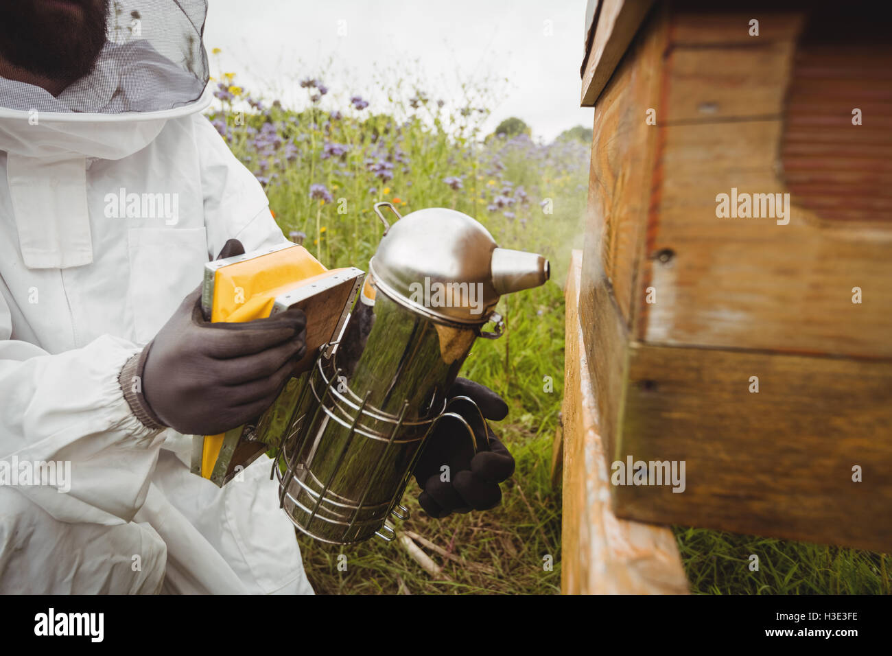 Beekeeper using bee smoker Stock Photo - Alamy