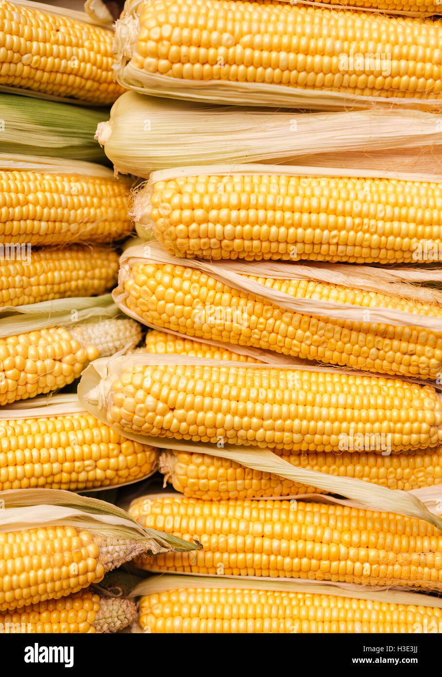 Close-up view of a heap of fresh corn Stock Photo - Alamy