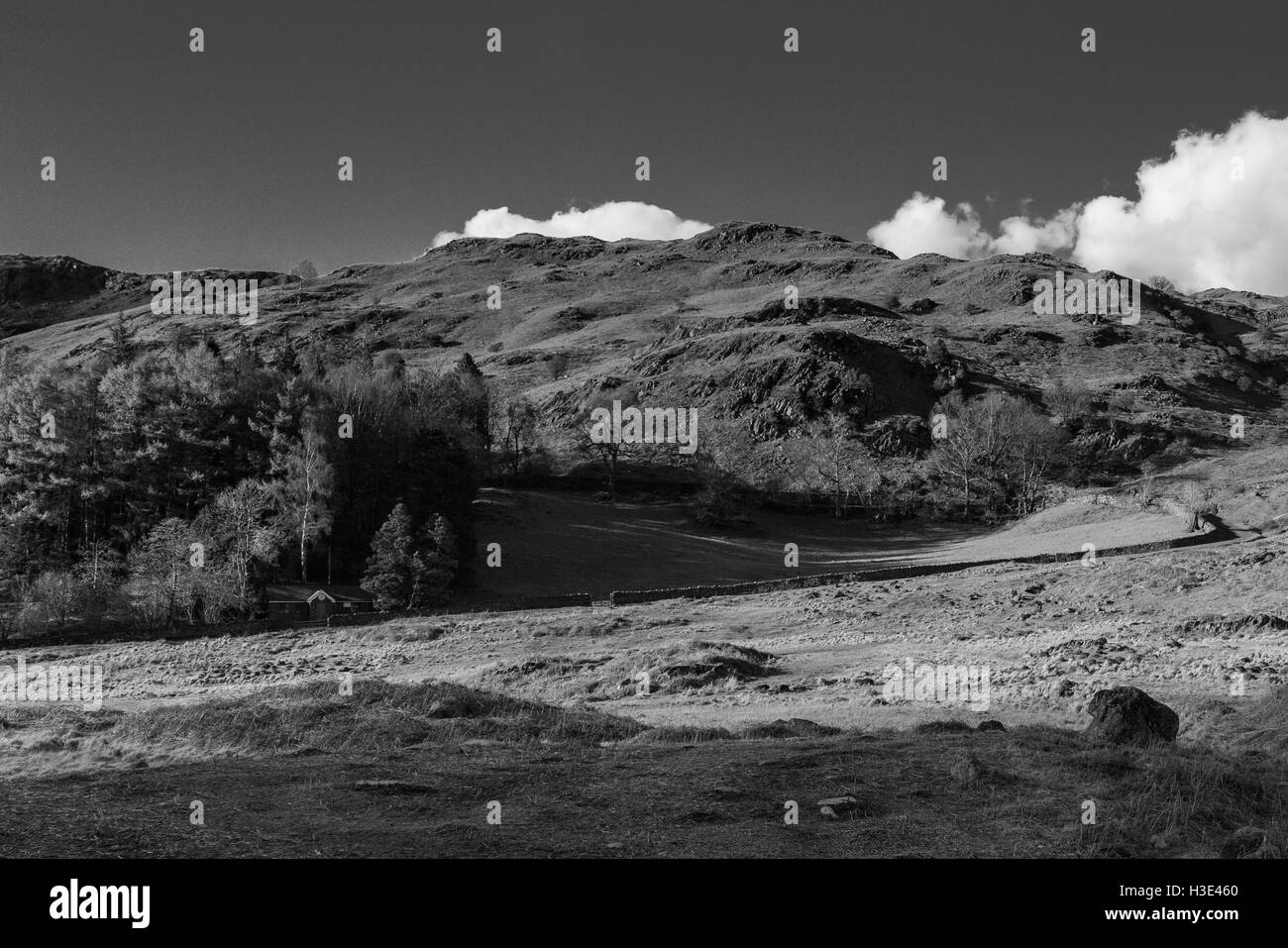 The Elterwater to Grasmere road climbs up the lower slopes of Silver ...