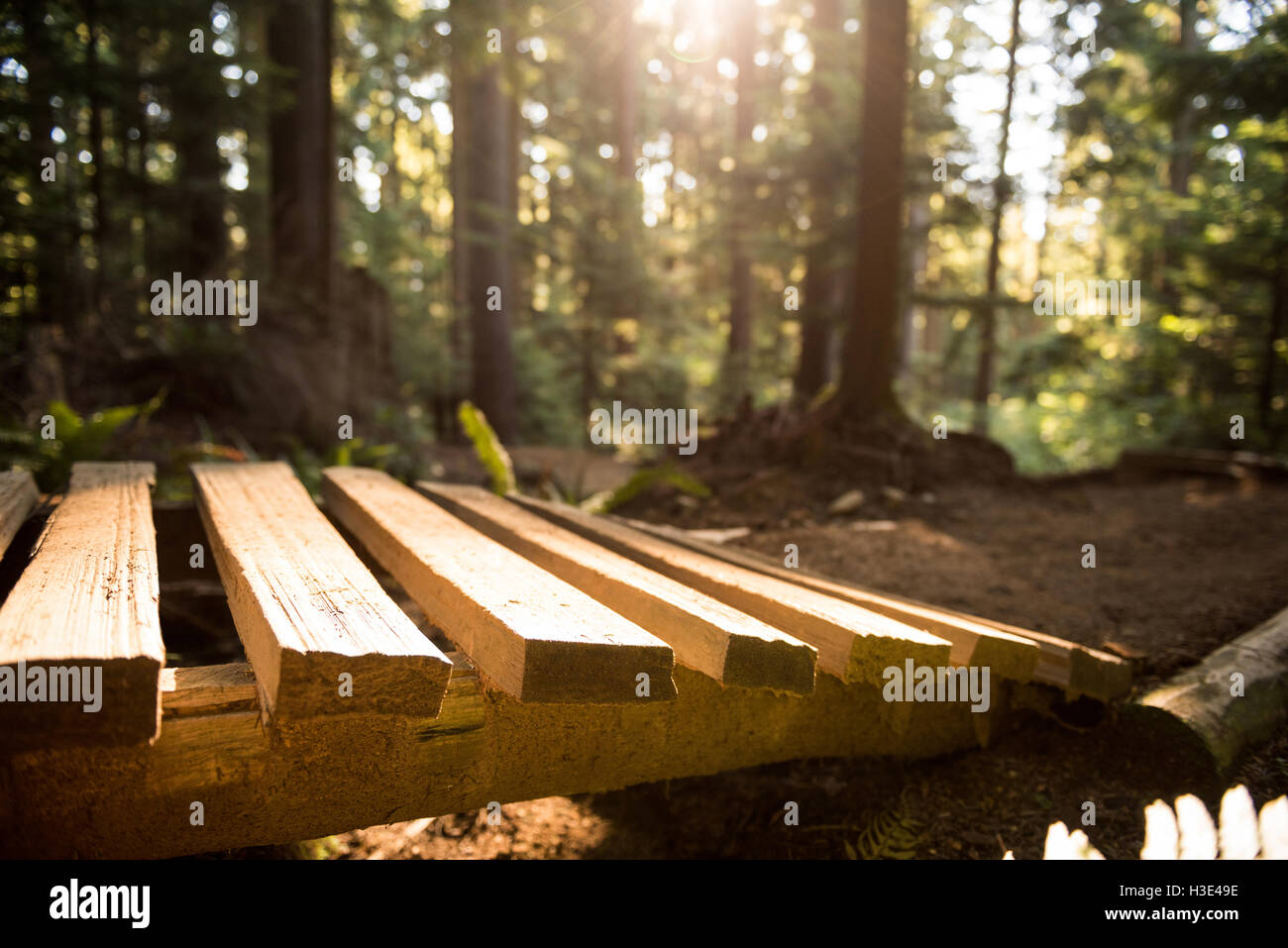 Close-up of wooden path Stock Photo - Alamy