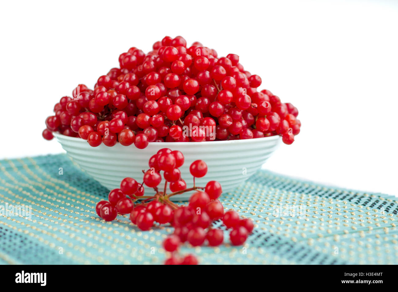 Red berries in plate with dropped-out cluster on blue uderlay Stock ...