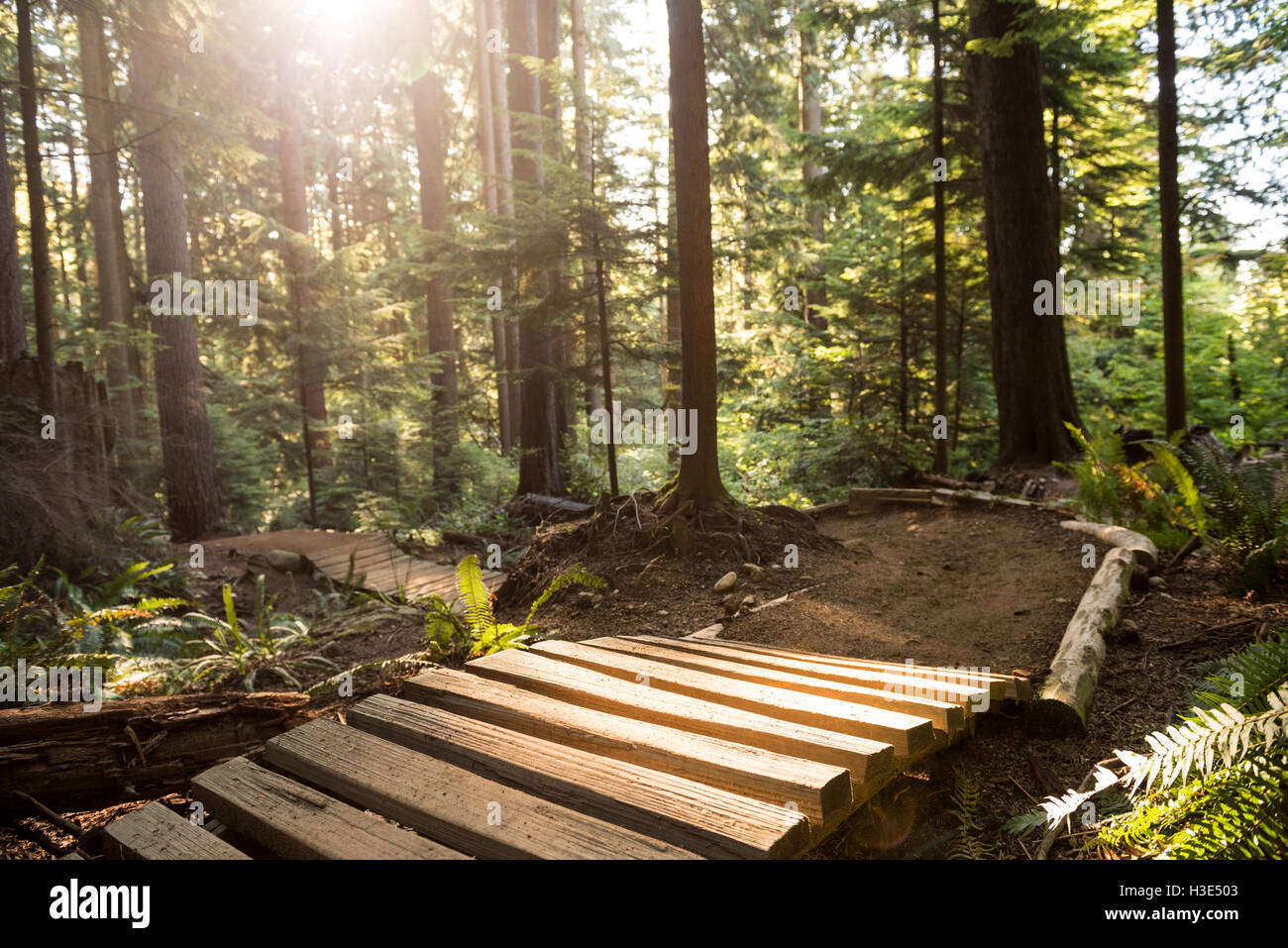 Close-up of wooden path Stock Photo - Alamy